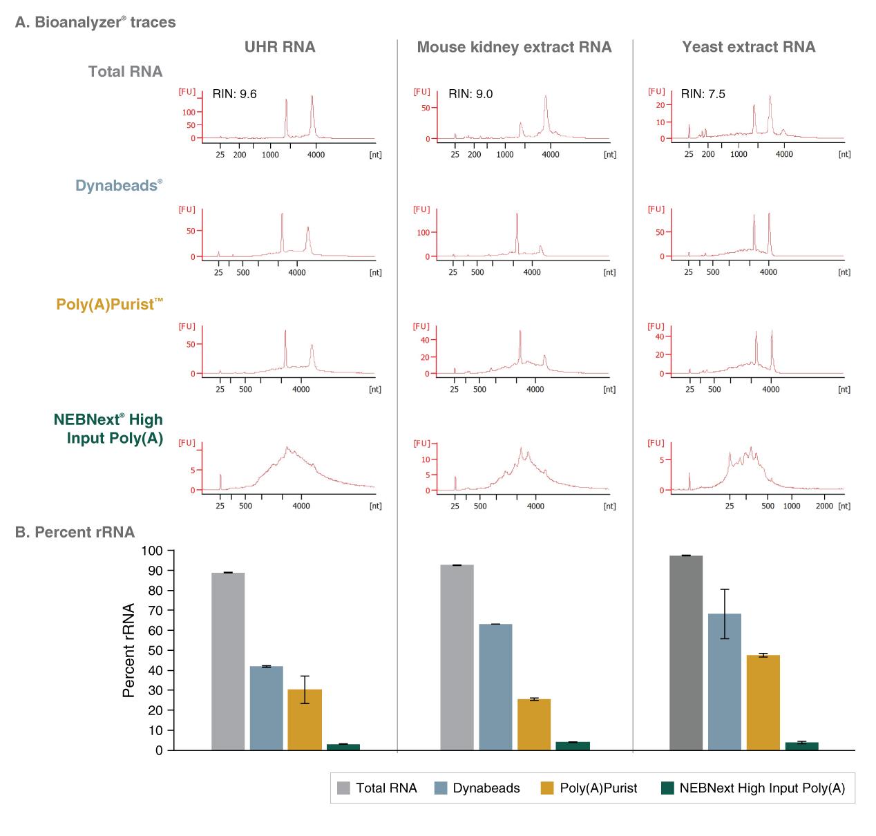 NEBNext® High Input Poly(A) mRNA Isolation Module | NEB