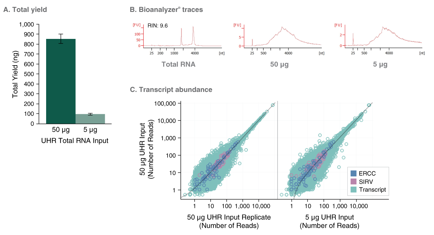 NEBNext® High Input Poly(A) mRNA Isolation Module | NEB