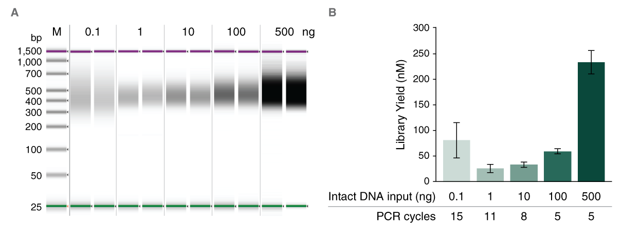 NEBNext® RNA Library Prep Kit for MGI® | NEB