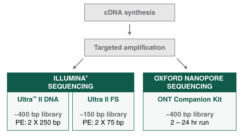 NEBNext® ARTIC products for SARS-CoV-2 sequencing | NEB