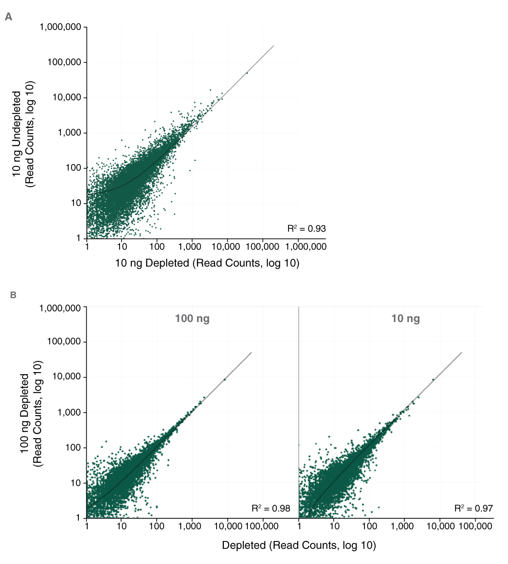 NEBNext® RNA Depletion Core Reagent Set | NEB
