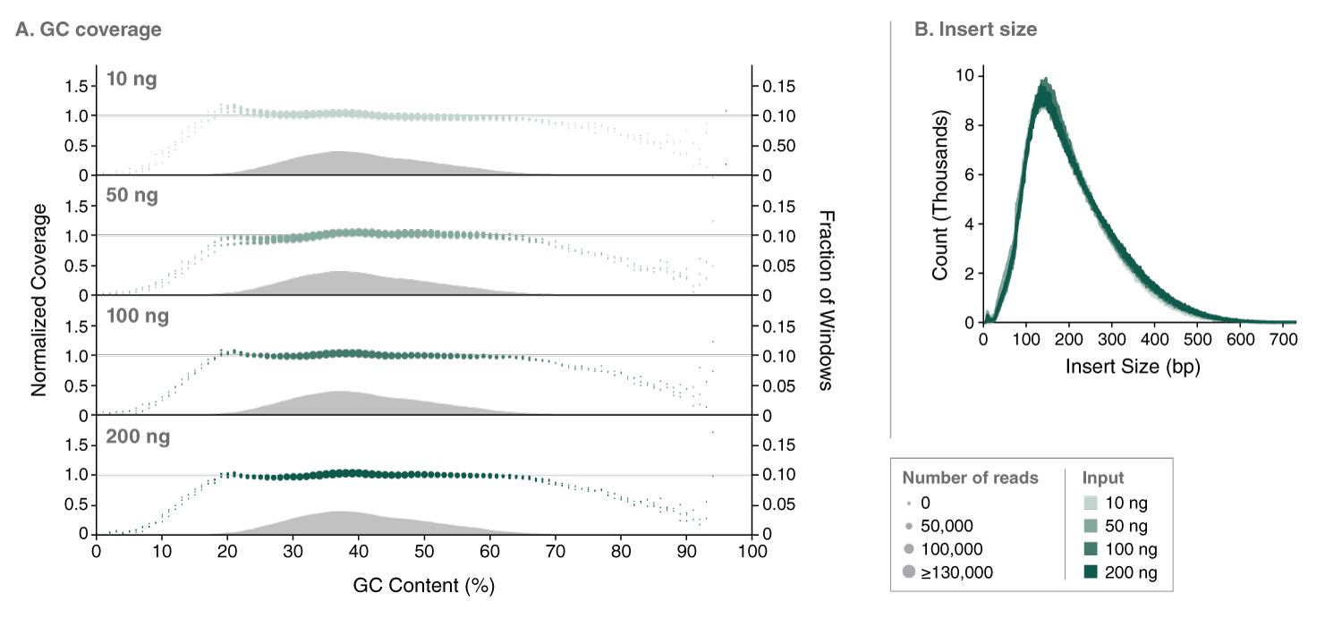 NEBNext ULTRAEXPRESS® FS DNA Library Prep Kit | NEB