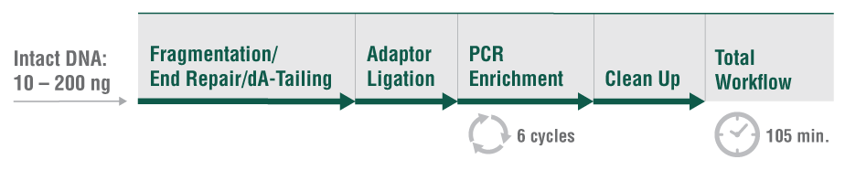 NEBNext ULTRAEXPRESS® FS DNA Library Prep Kit | NEB