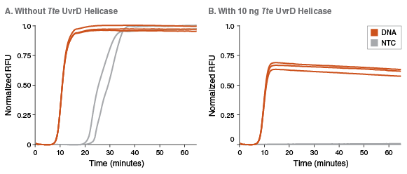 Tte UvrD Helicase | NEB
