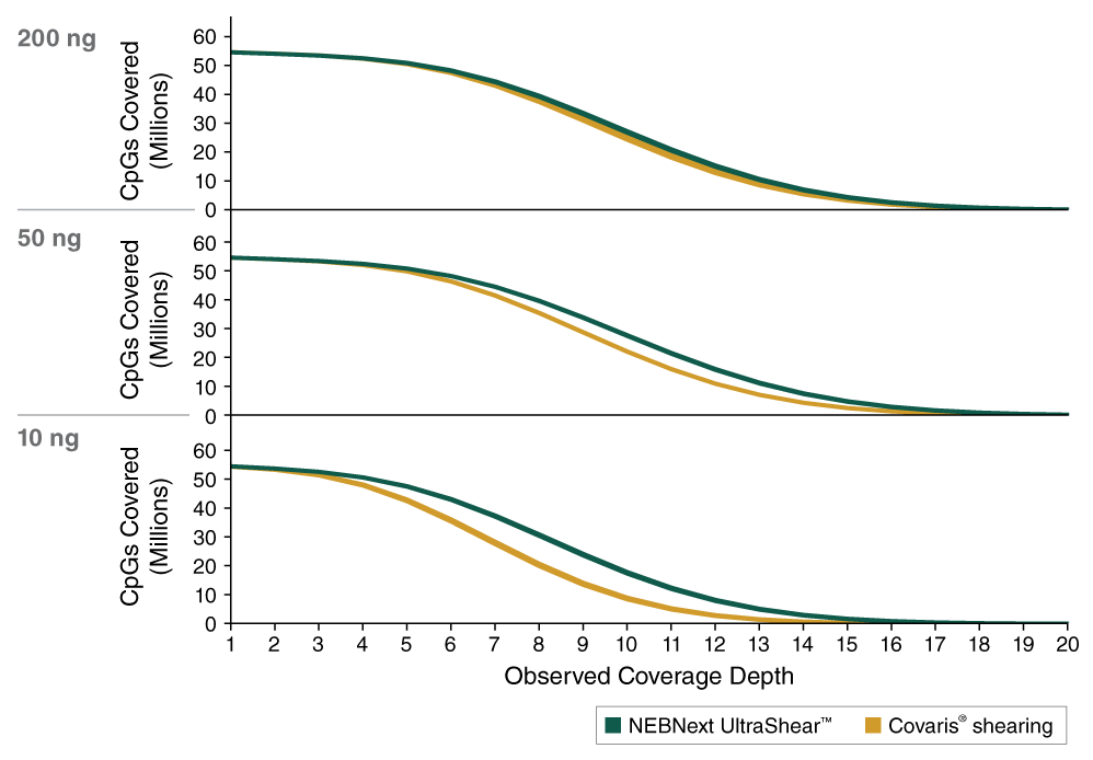 NEBNext UltraShear® | NEB