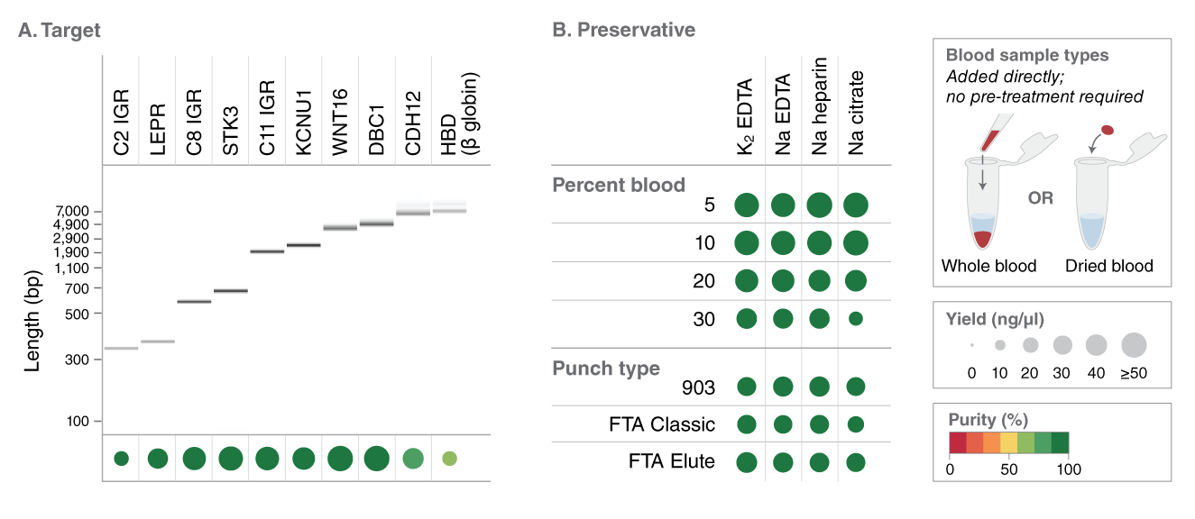 Q5® Blood Direct 2X Master Mix | NEB