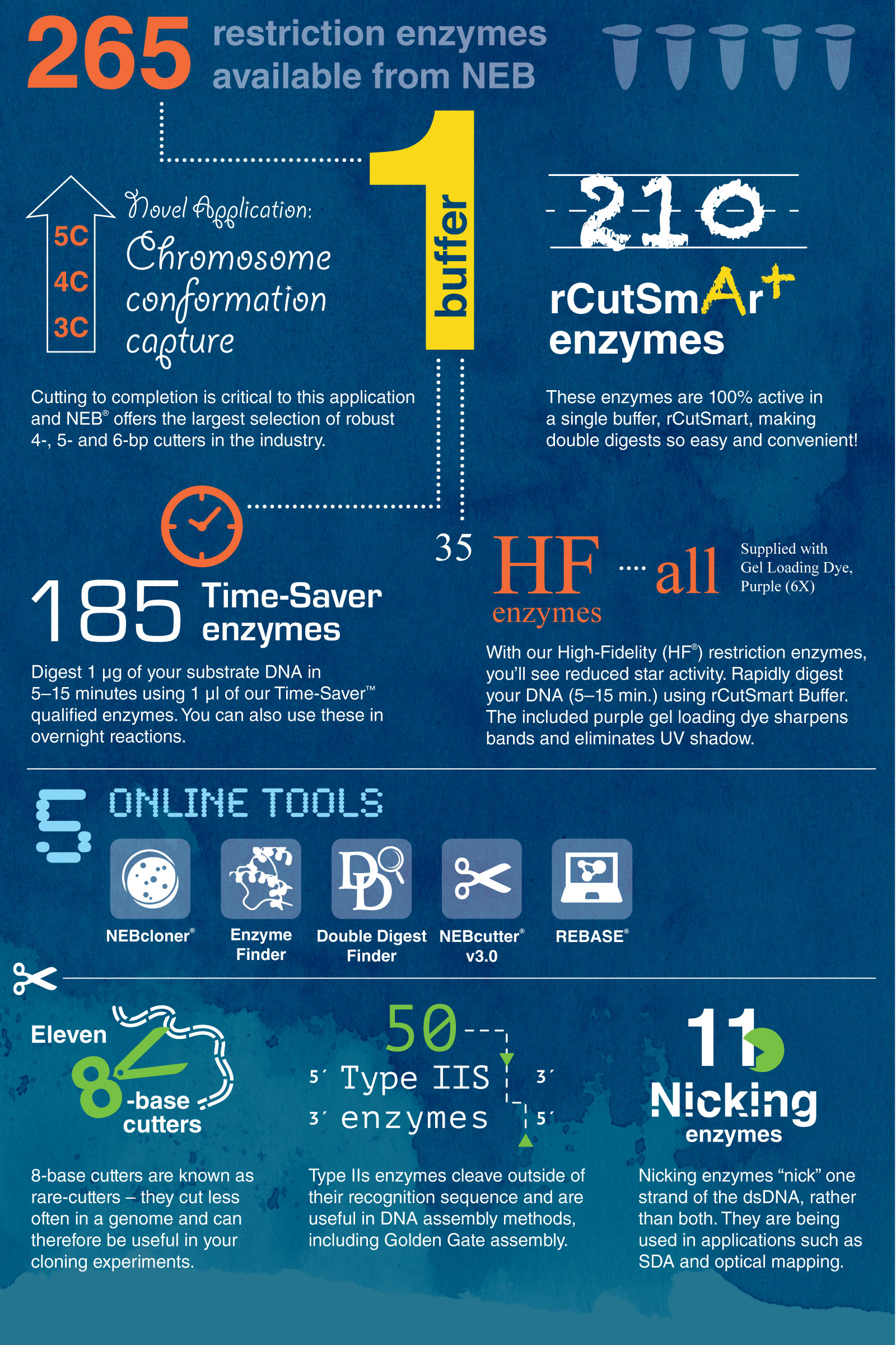 Neb Restriction Enzymes By The Numbers Neb