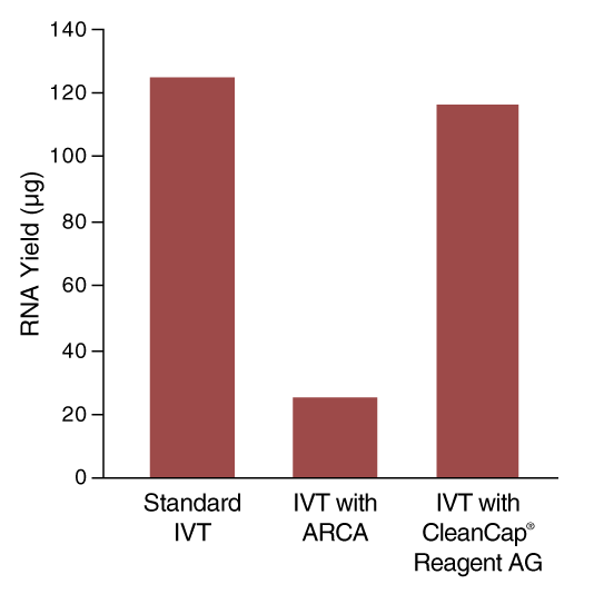 HiScribe® T7 mRNA Kit with CleanCap® Reagent AG | NEB