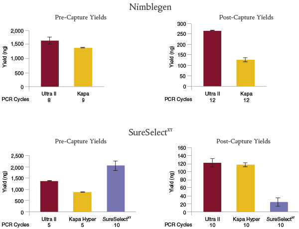 Library Preparation for Target Enrichment Workflows | NEB