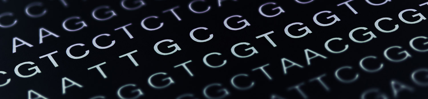 Meet the Corrêa Lab Team | NEB