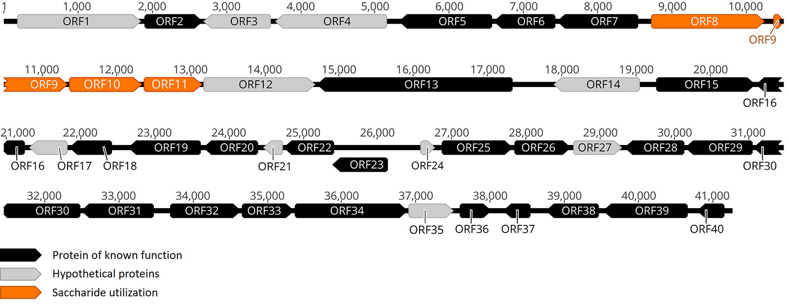 High-throughput fosmid sequencing | NEB