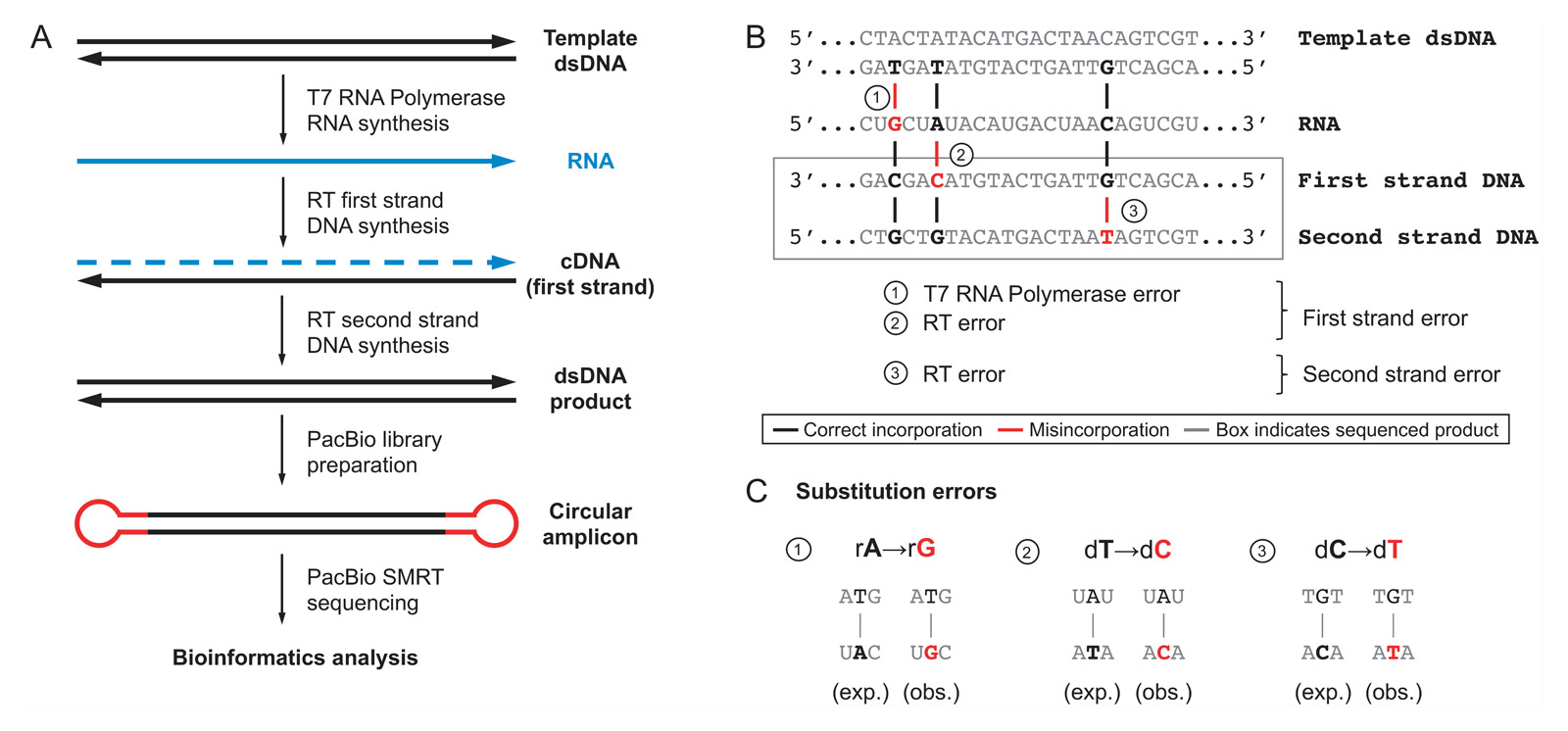 Ong Lab | NEB
