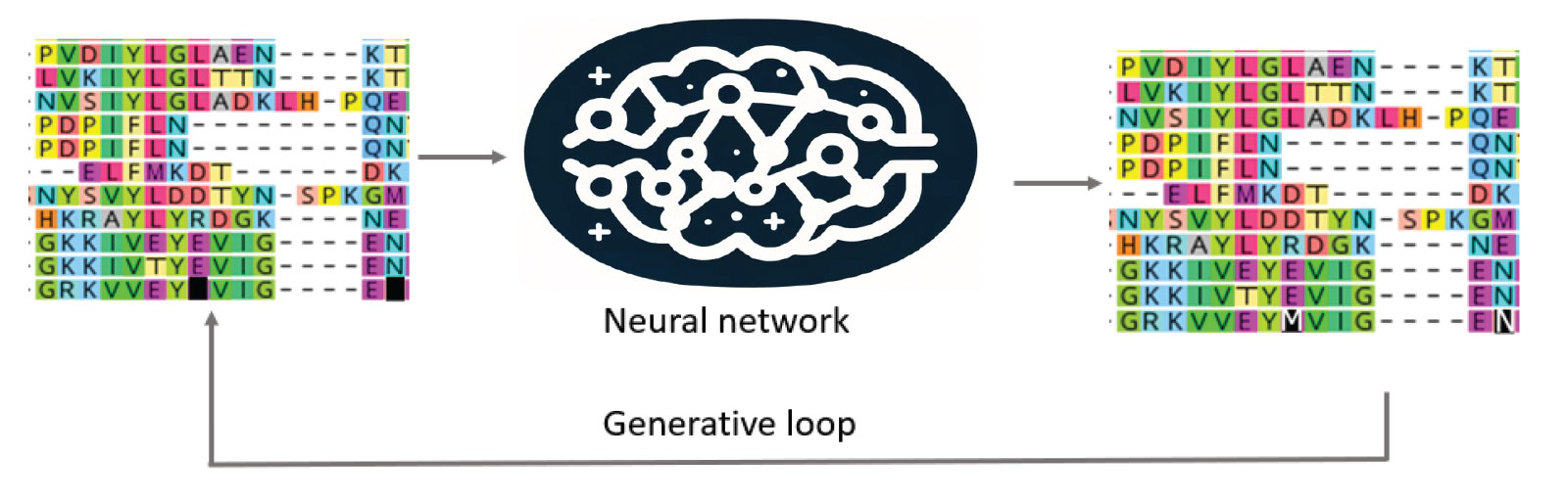 Using deep learning models for enzyme engineering | NEB