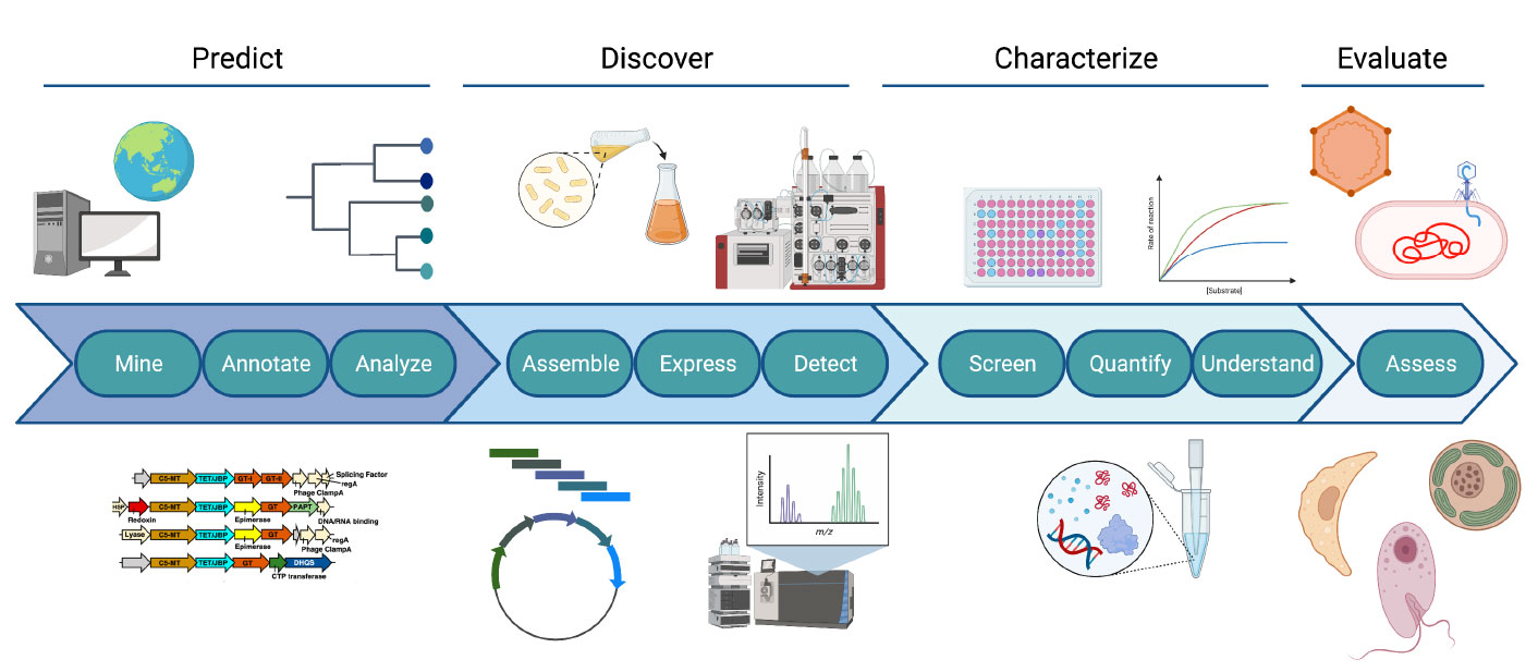 High-throughput (HT) platforms for enzyme discovery and characterization | NEB