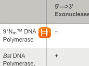 Taq DNA Polymerase | NEB