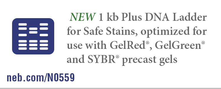 Quick-Load® Purple 100 bp DNA Ladder | NEB