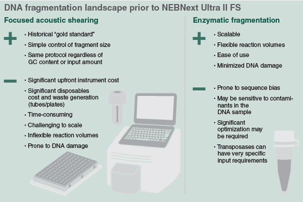 Improving Enzymatic DNA Fragmentation for Next Generation Sequencing Library Construction | NEB