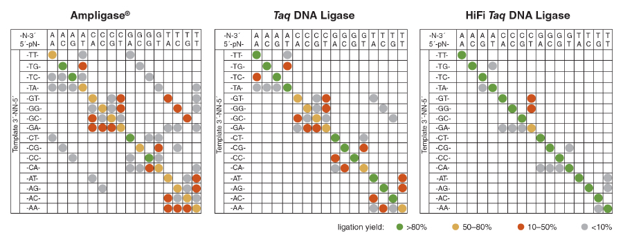 Substrate specificity and mismatch discrimination in DNA ligases | NEB