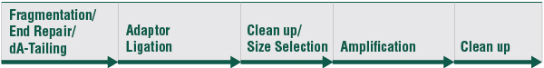 Improving Enzymatic DNA Fragmentation for Next Generation Sequencing Library Construction | NEB