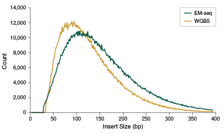 Enzymatic Methyl-seq: The Next Generation of Methylome Analysis | NEB
