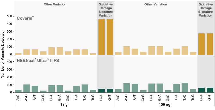 Improving Enzymatic DNA Fragmentation for Next Generation Sequencing ...