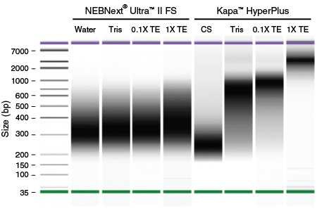 Improving Enzymatic DNA Fragmentation for Next Generation Sequencing ...
