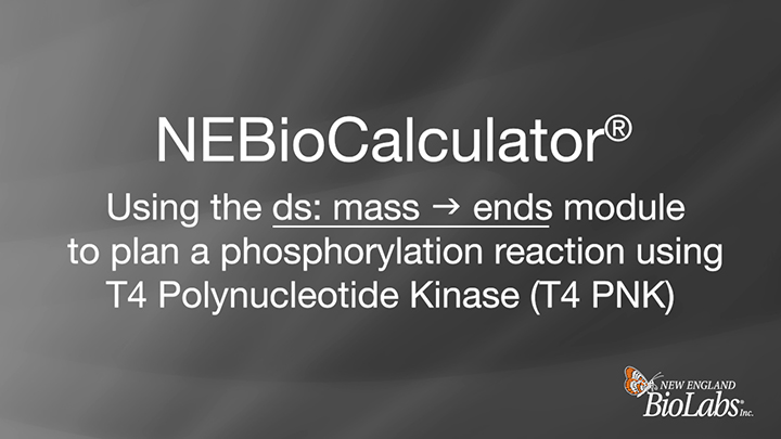 NEBioCalculator® - Using the Ligation module | NEB