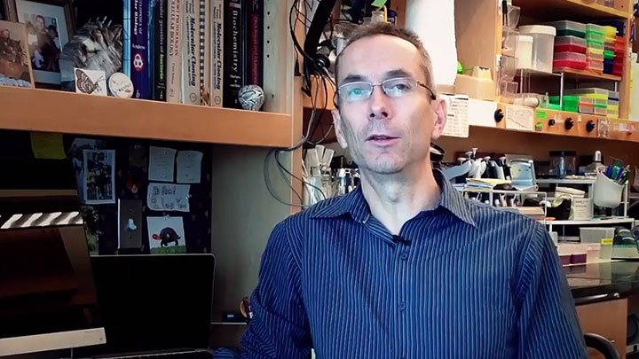 How Do I Contact NEB Tech Support? | NEB