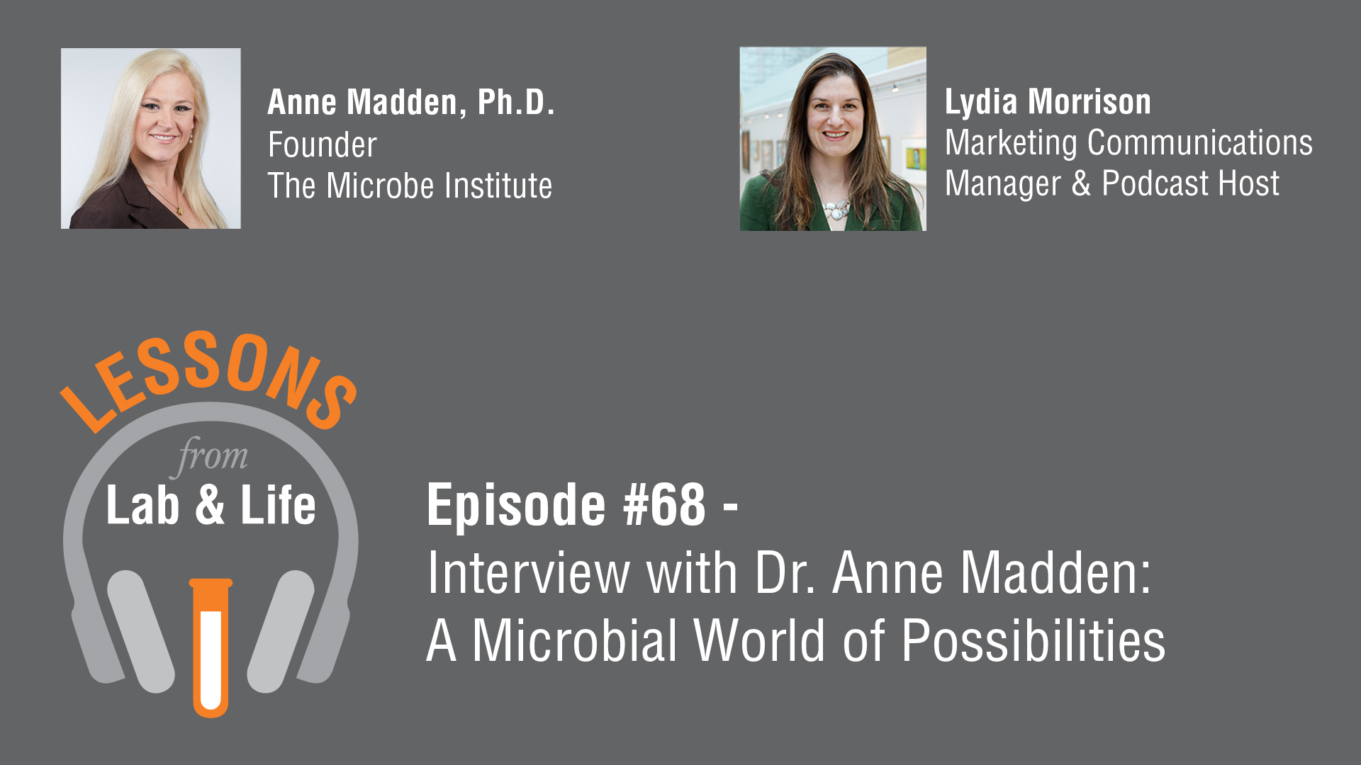 Interview with Dr. Anne Madden: A Microbial World of Possibilities | NEB