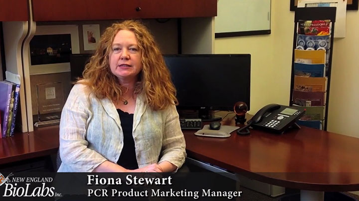 Taq DNA Polymerase with ThermoPol® Buffer | NEB