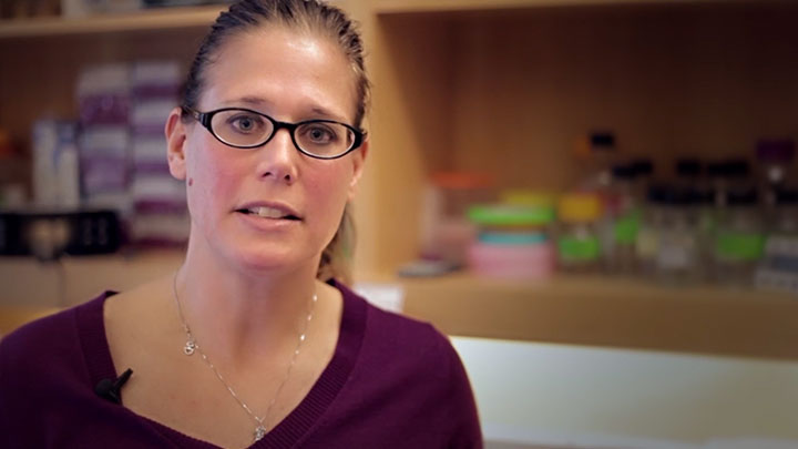 Double Digestion with NEBcloner | NEB