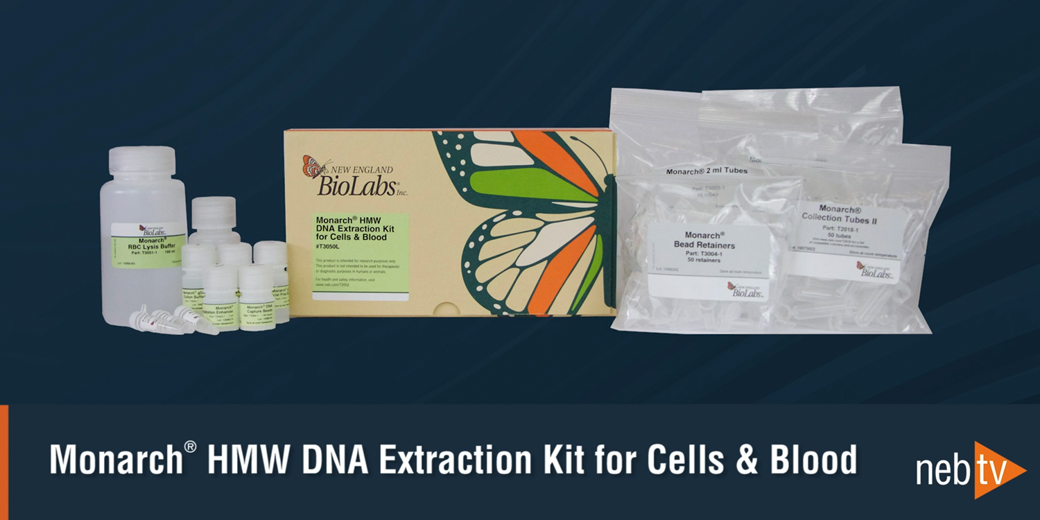 Tips for HMW DNA Extraction from Blood Samples with the Monarch kit | NEB