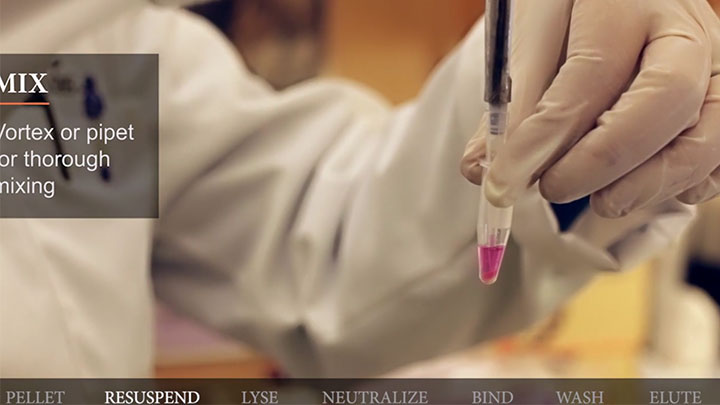 Monarch® Plasmid Miniprep Kit | NEB