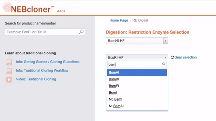 Standard Protocol For Restriction Enzyme Digests Neb