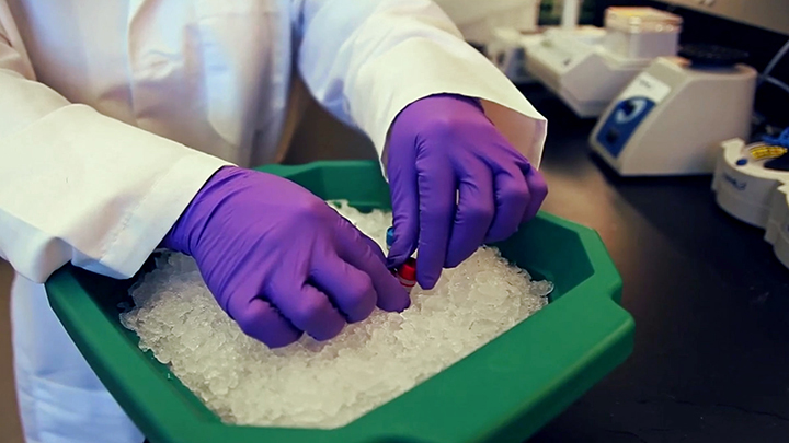 NEBNext® Multiplex Small RNA Library Prep Set for Illumina® (Set 1) | NEB