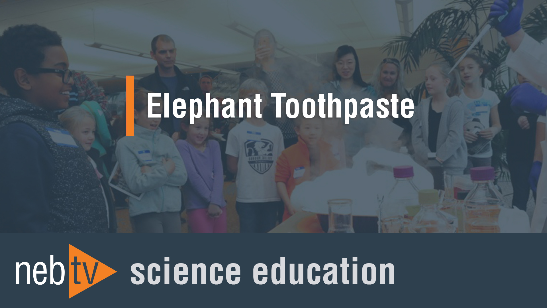 NEB Kids’ Science Day Experiments | NEB