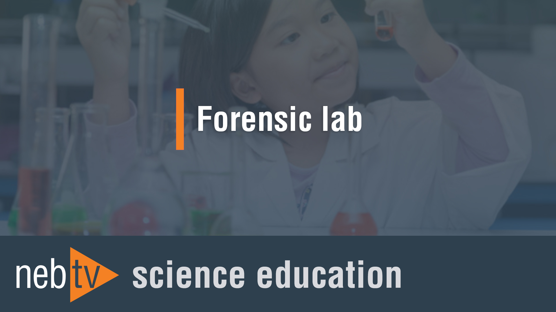 NEB Kids’ Science Day Experiments | NEB