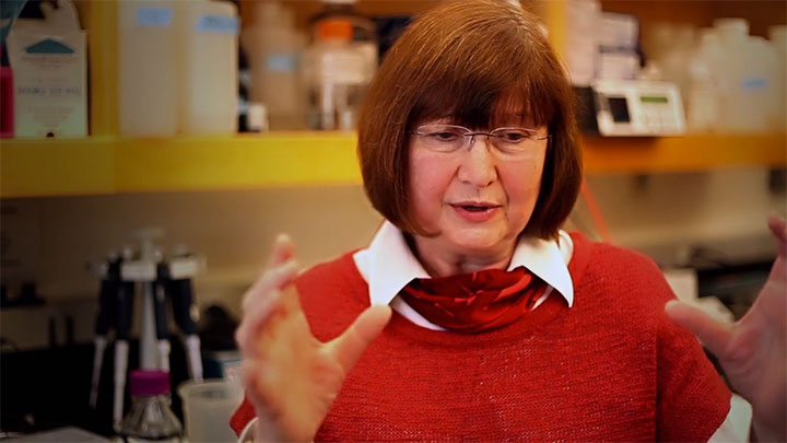 PCR Cloning Method | NEB