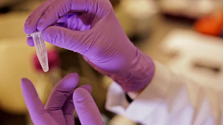Restriction Enzyme Troubleshooting Guide Neb