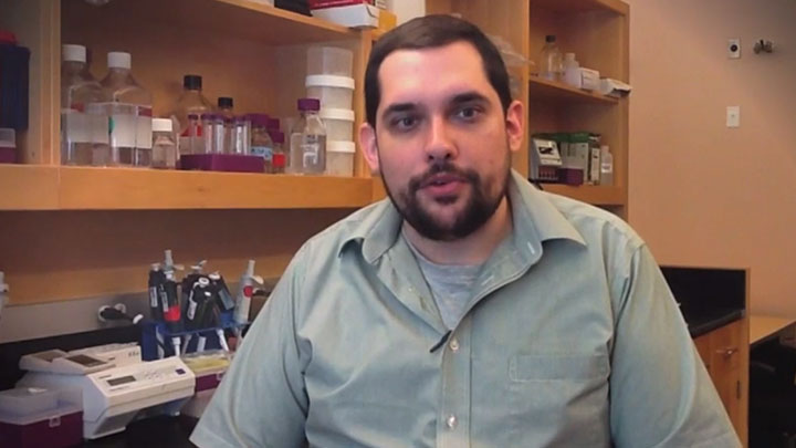 Cloning Ligation | NEB