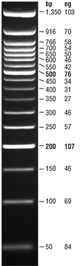 Quick-Load Purple 50 bp DNA Ladder | NEB