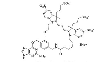 SNAP-Surface® 549 | NEB