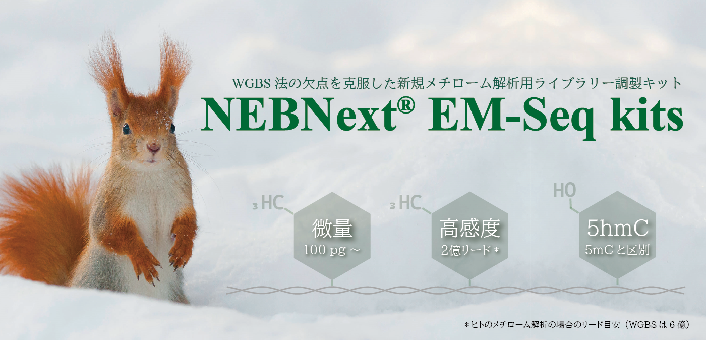 全ゲノムメチル化解析用ライブラリー調製キット | NEB