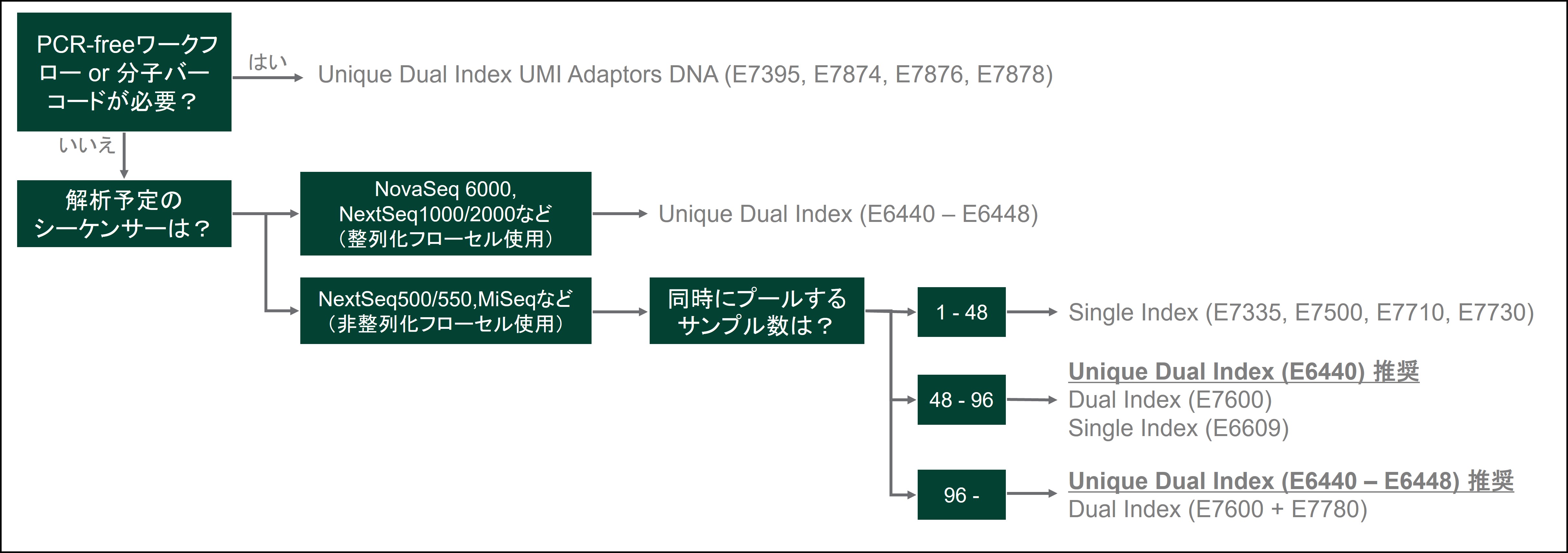 NEBNext® Ultra™ II for DNA Library Prep | NEB