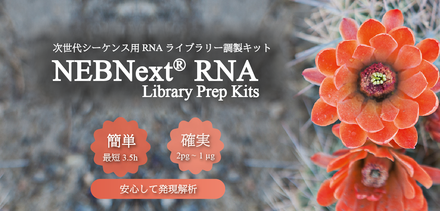 NEBNext RNA ライブラリー調製キット | NEB