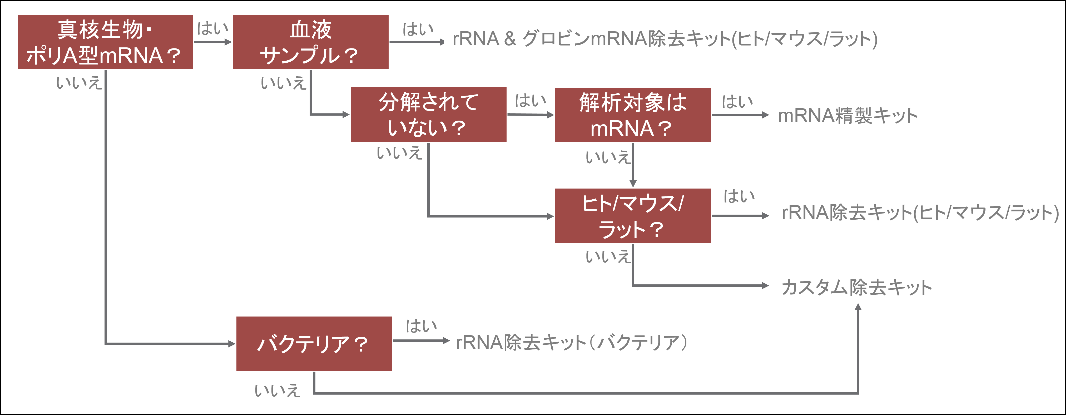 NEBNext® Ultra™ II RNA Library Prep (Directional & Non-directional) | NEB