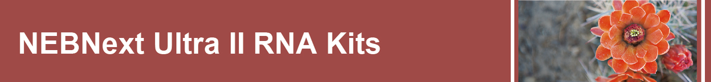 NEBNext® Ultra™ II RNA Library Prep (Directional & Non-directional) | NEB