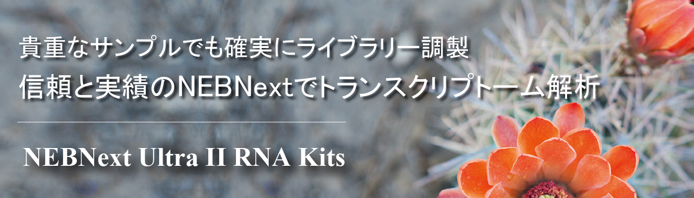 NEBNext® Ultra™ II RNA Library Prep (Directional & Non-directional) | NEB