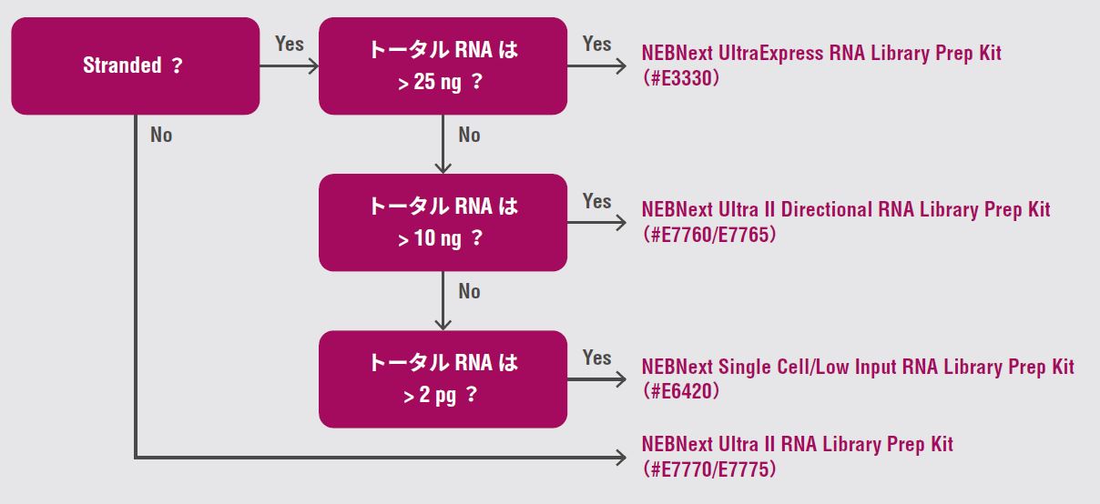 NEBNext RNA ライブラリー調製キット | NEB