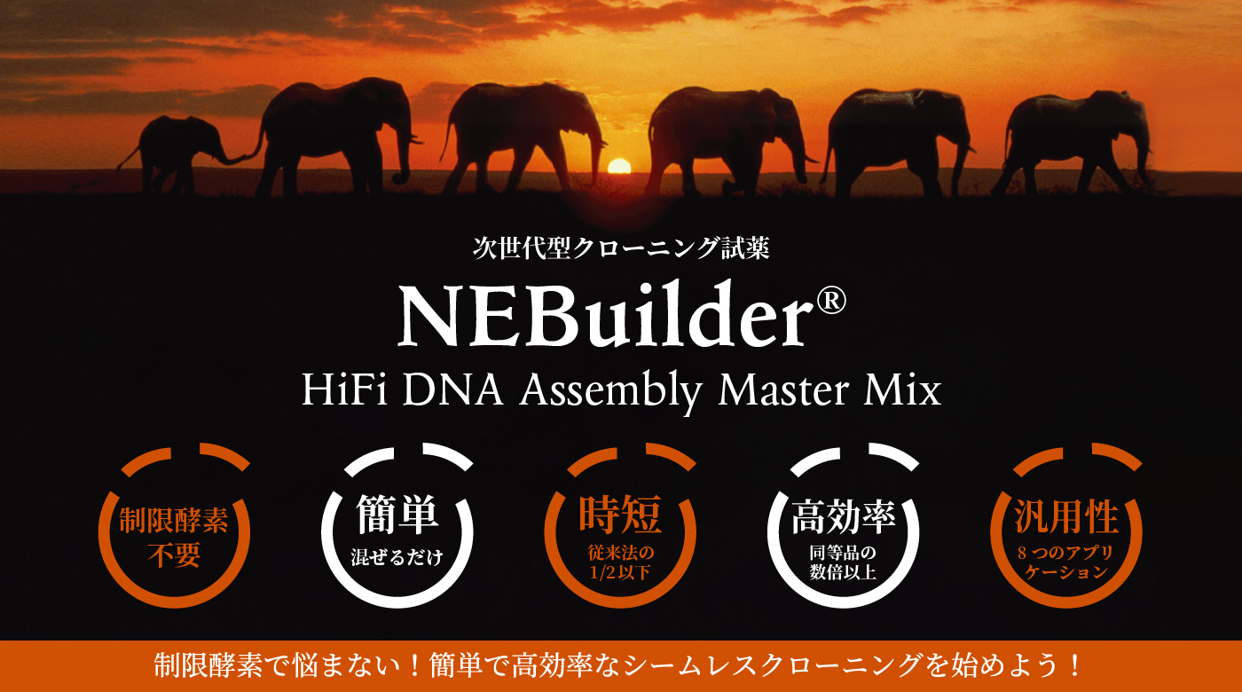 NEBuilder® HiFi DNA Assembly | NEB